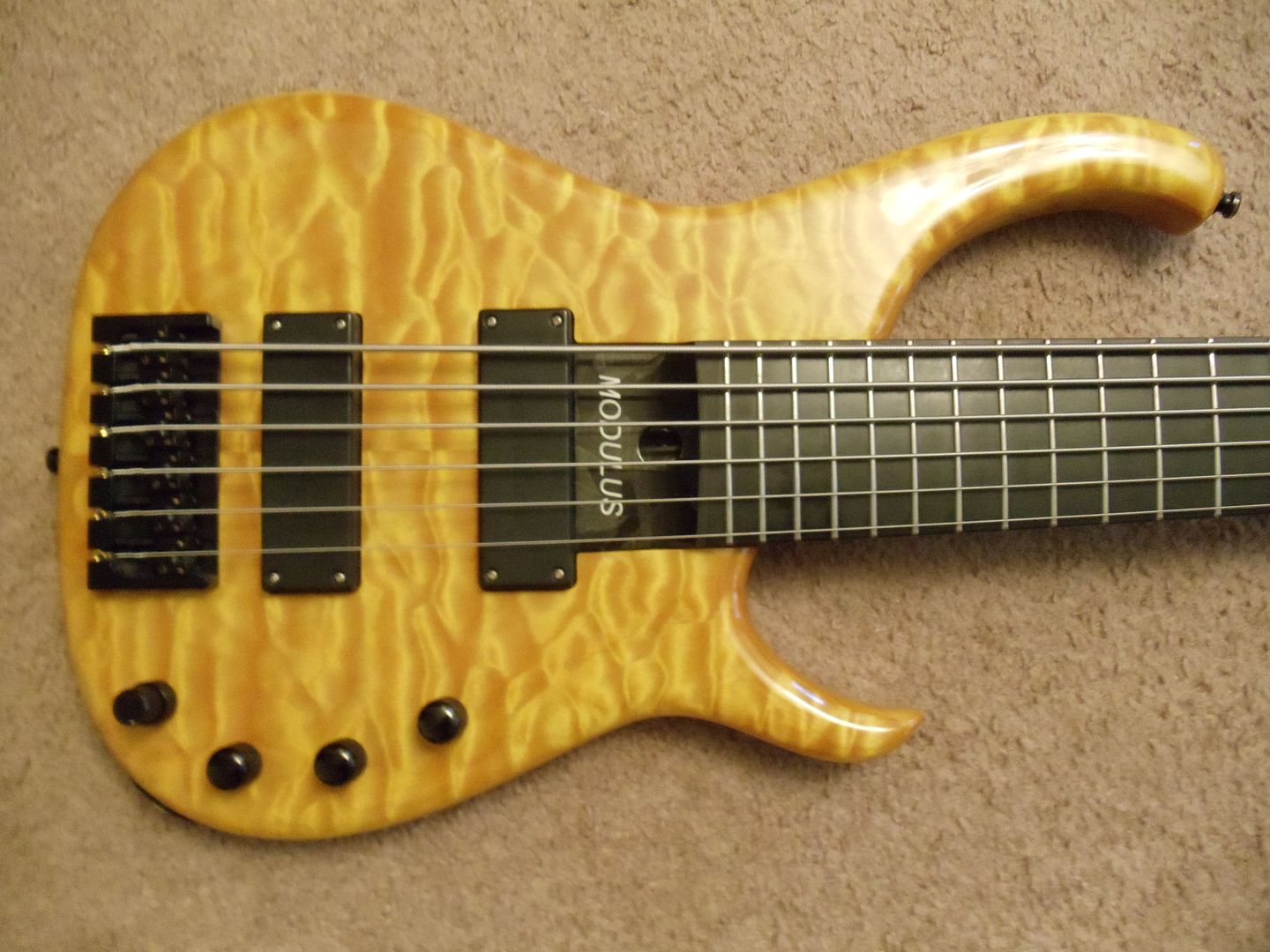 FT: Modulus Quantum 6 - Bass Instruments - Harmony Central